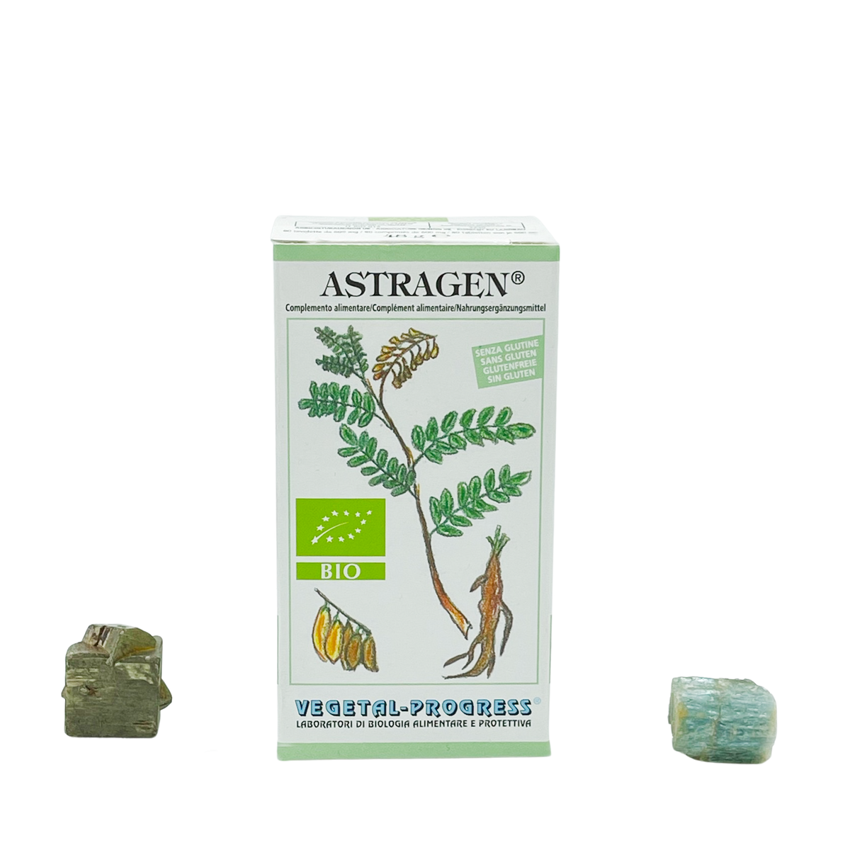 Astragen: The Immune Booster – Muse & Heroine